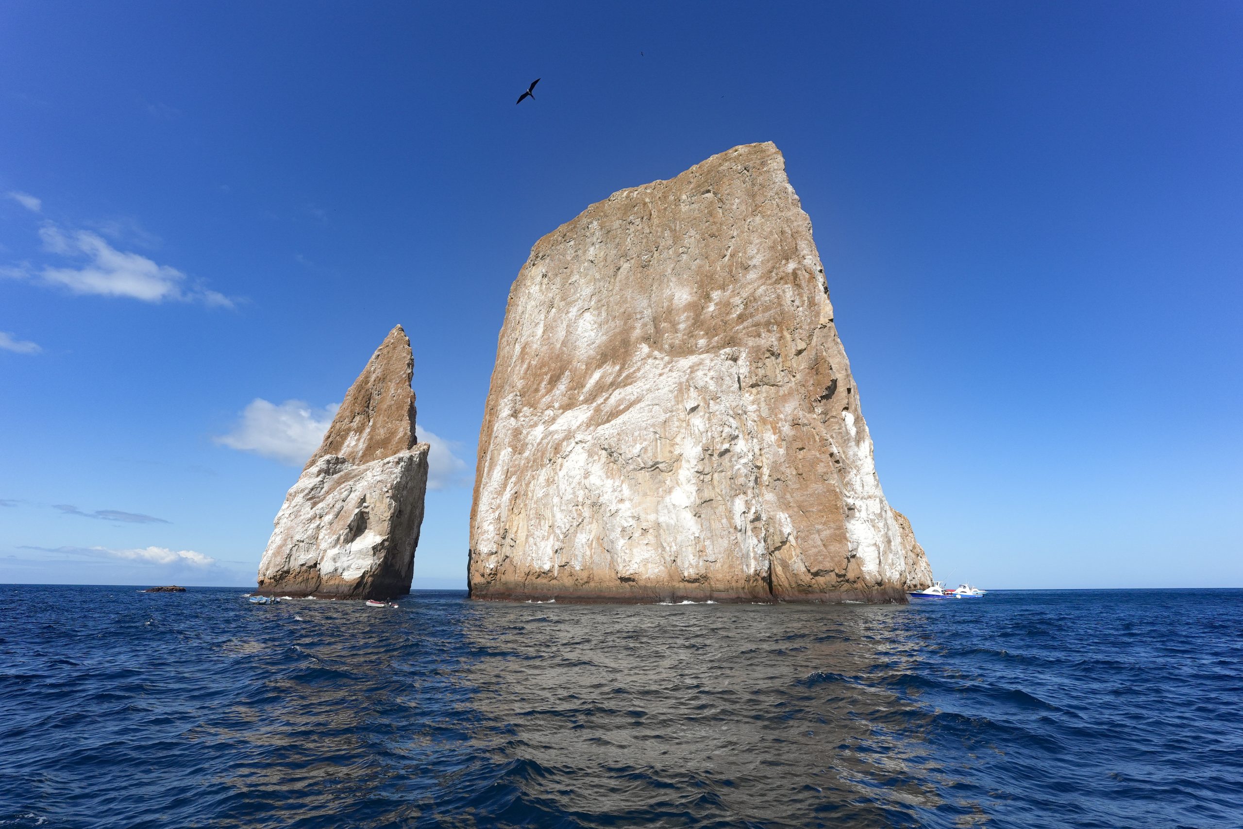 Kicker Rock Tour – Galapagos Universe